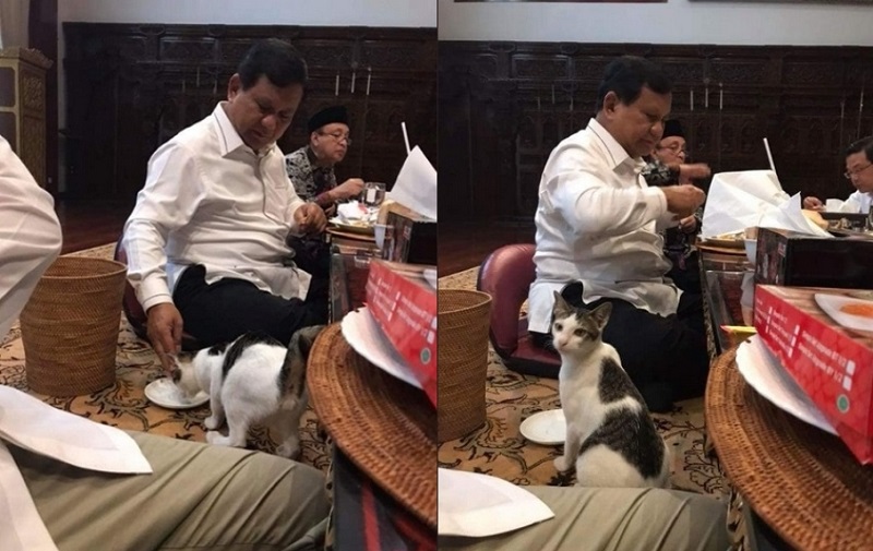 Netizen Nobatkan Kucing Prabowo Sebagai "Cat-izen" Pertama di Indonesia